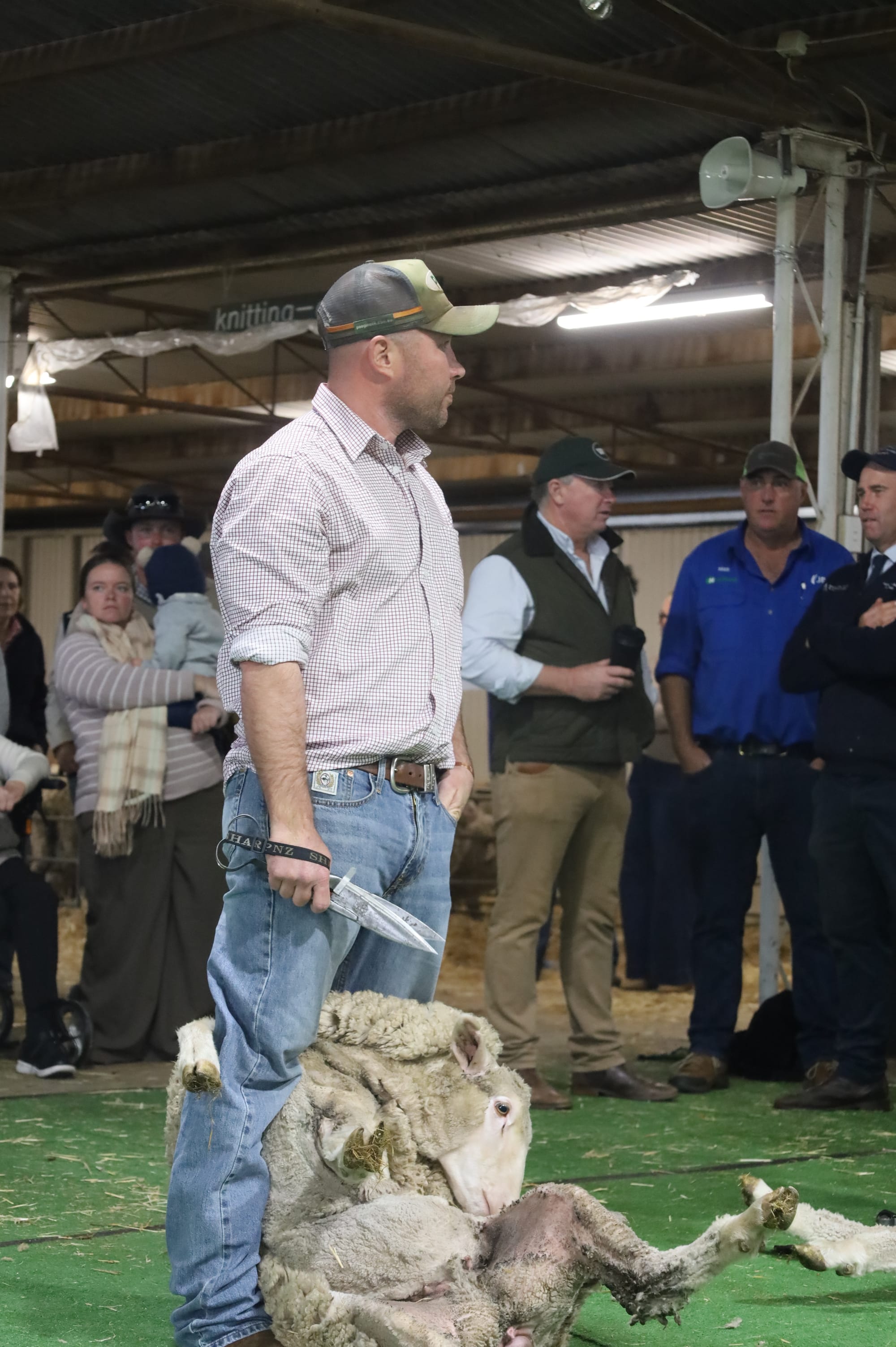 Greenfields ewe crowned Supreme Champion at 74th Hay Merino Sheep Show